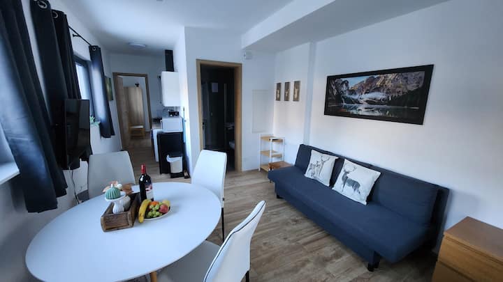 1 Bedroom 1 Bathroom Apartment - Fieberbrunn