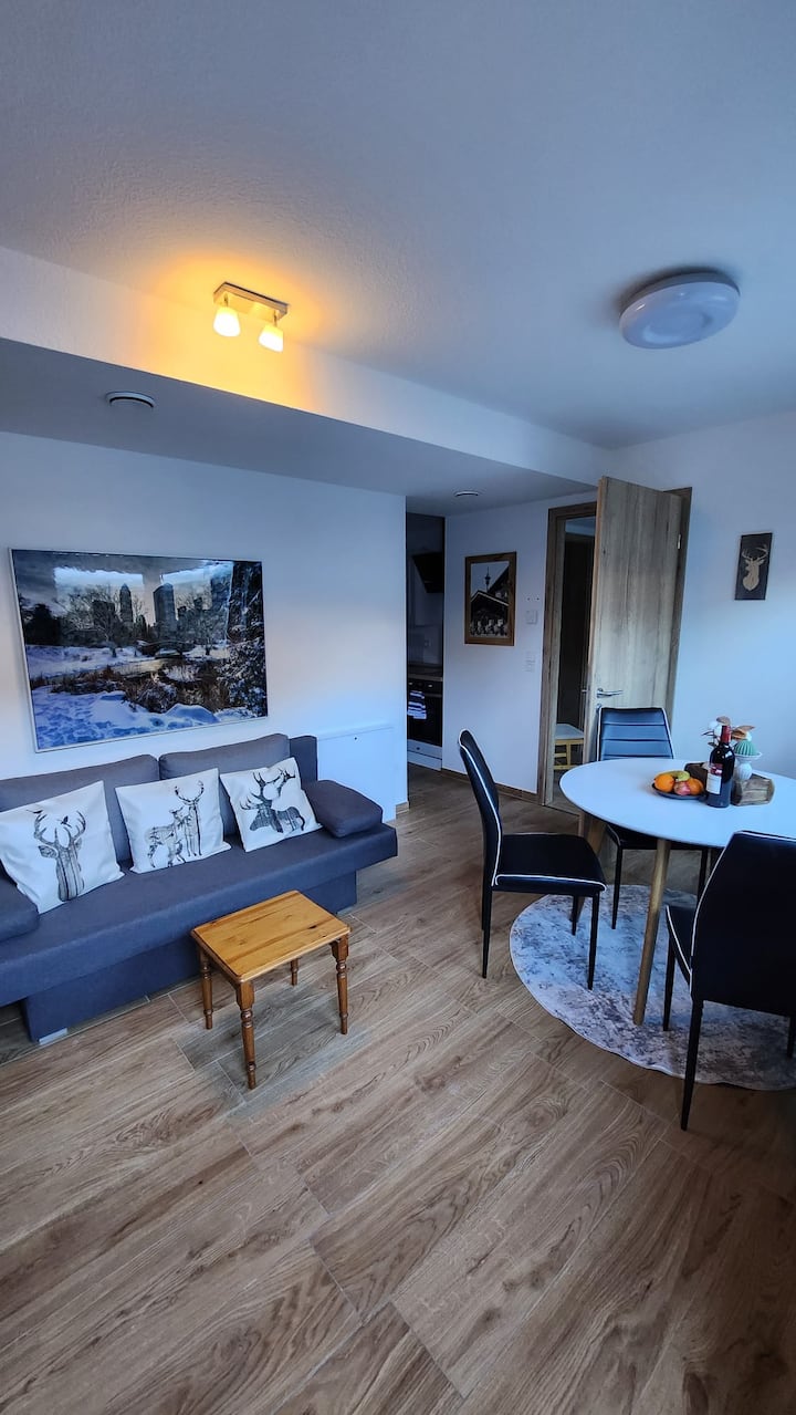 2 Bedroom 2 Bathroom Apartment - Fieberbrunn