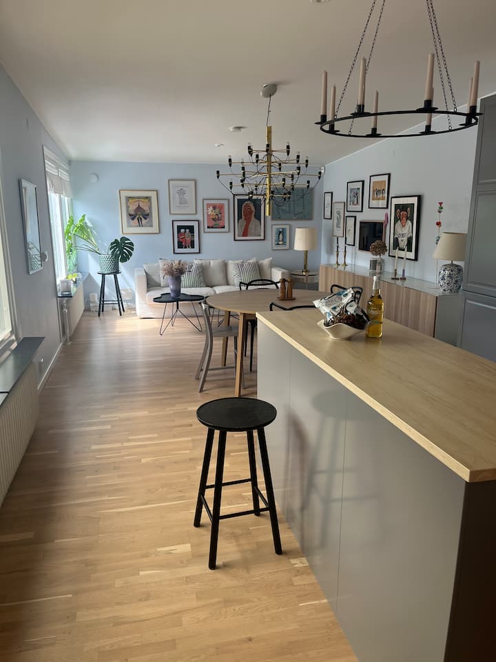 Charmigt Hus Med Sociala Ytor, Lekrum & Katt. - Helsingborg