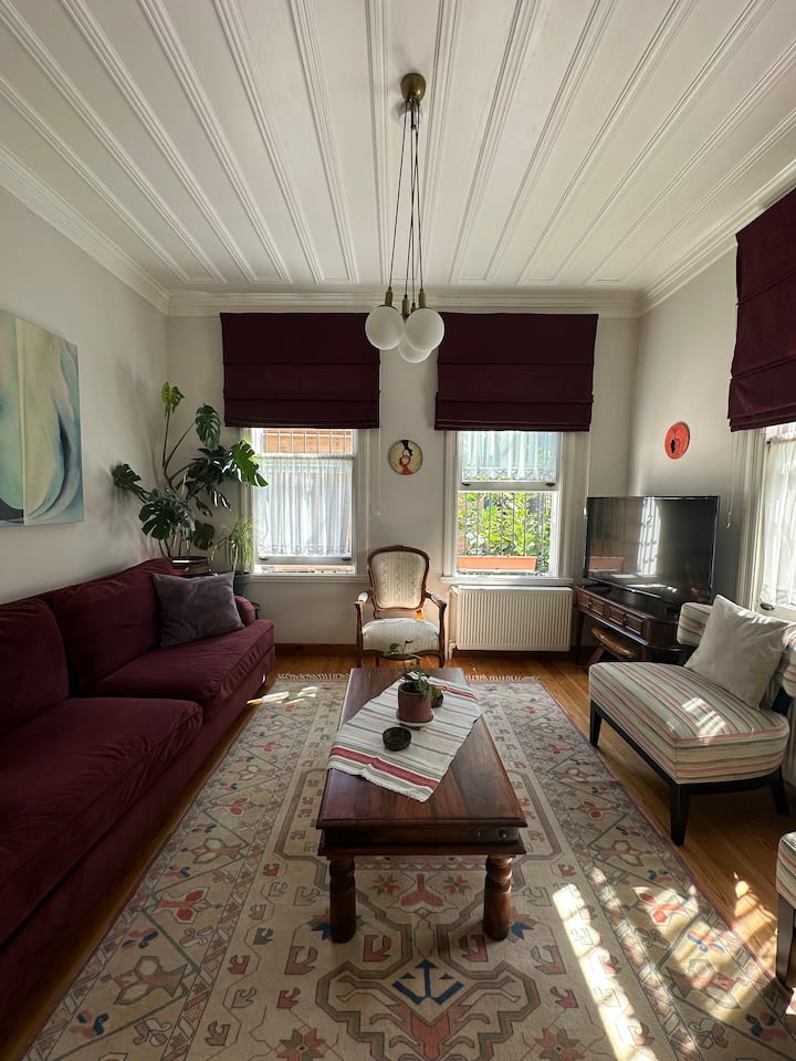 Historical Wooden House - Sancaktepe
