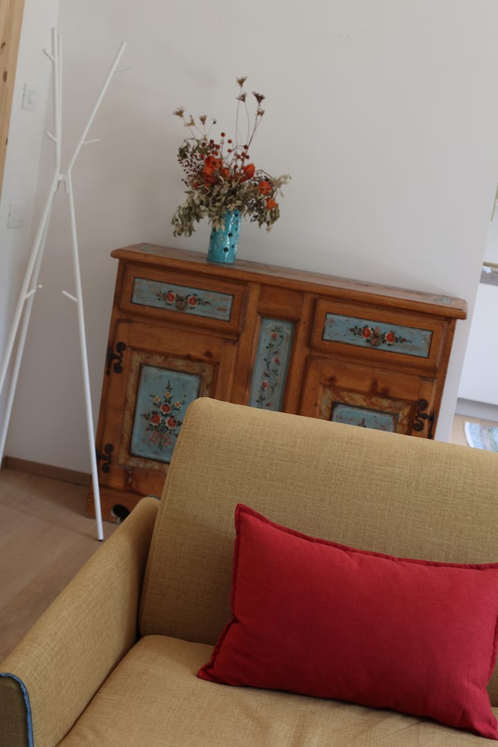 Nine Rooms Apartment - Trento