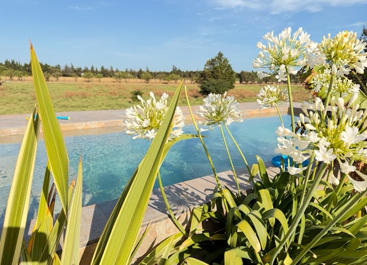 Spacieuse Villa Provence 5 Ch. Piscine & Vue - France