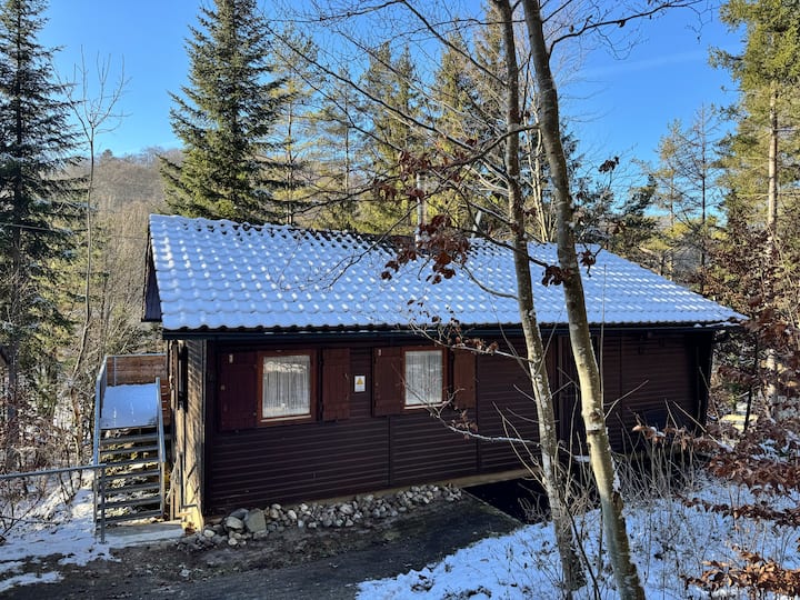 Die Grüne Waldhütte - Schwarzwald