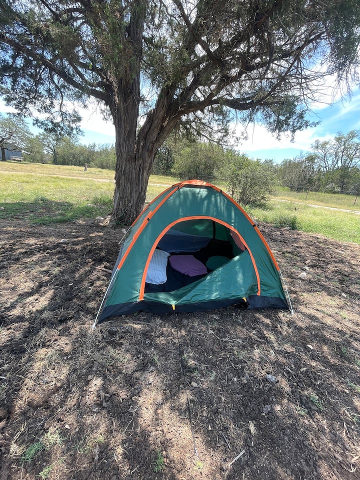 Tent On A Friendly Farm - San Marcos, TX