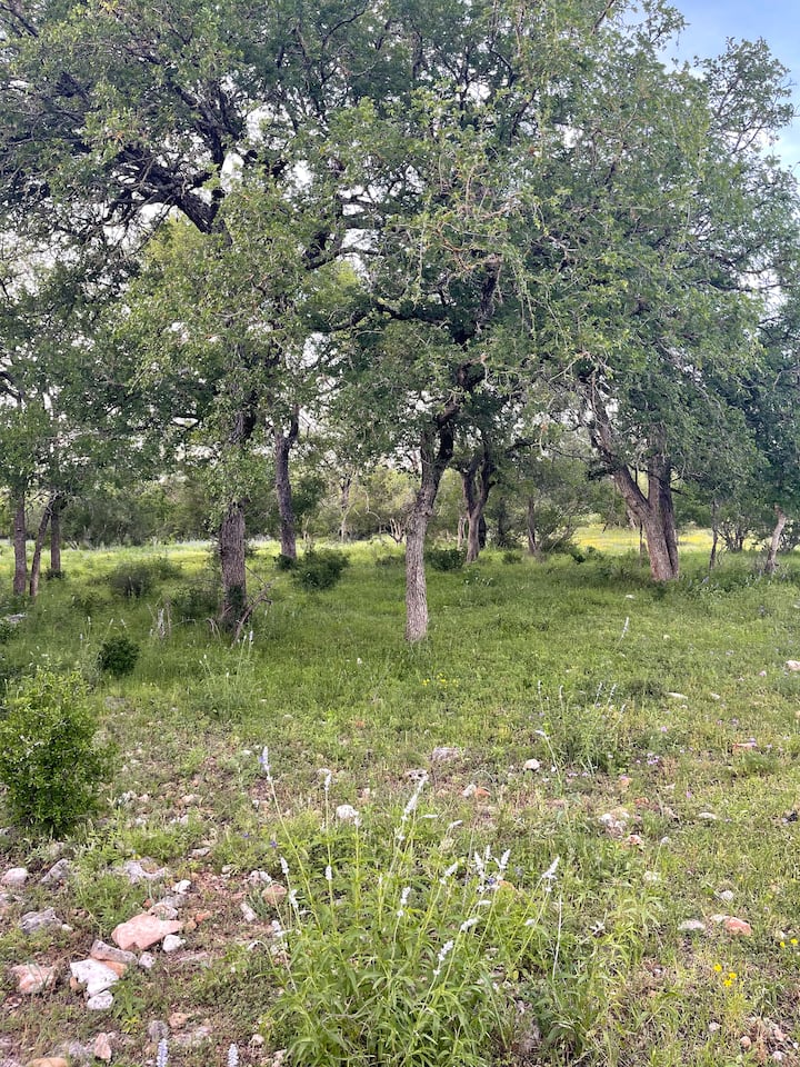 Bring Your Own Camper/rv To A Farm With Goats/pony - San Marcos, TX
