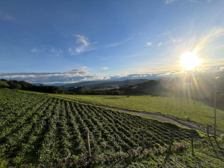 Cabaña De Campo En La Montaña - Chocontá