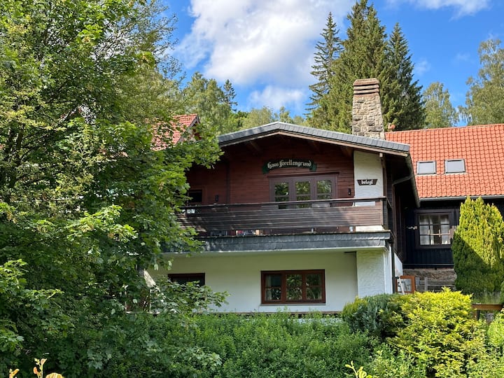 Forellengrund Schierke-bodegrund - Wernigerode