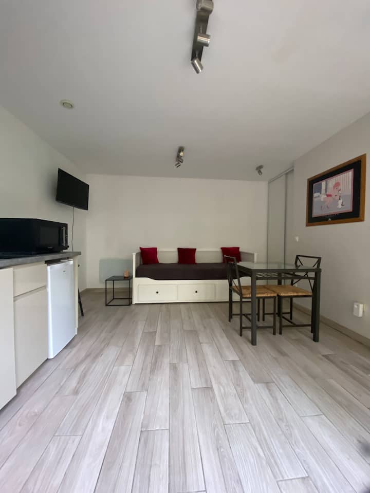 Studio Indépendant Avec Jardin - Fontenay-aux-Roses