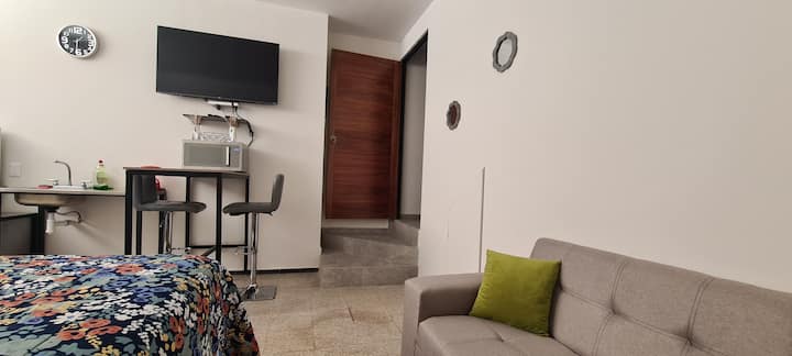 Céntrico Estudio Por Fundadores - San Luis Potosí