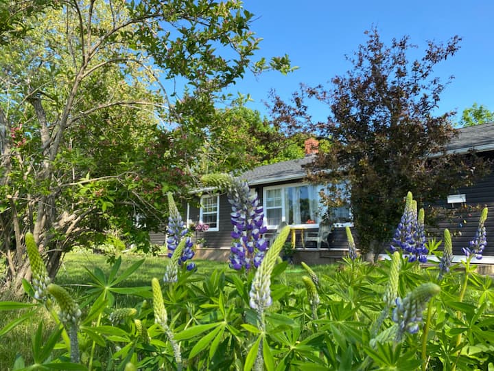 King Size Bed Room - Charlottetown