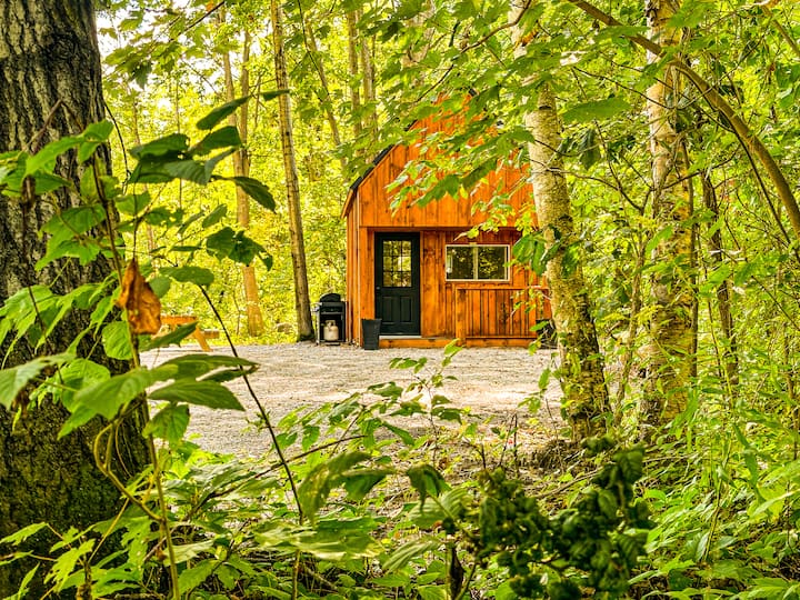 Off-grid Cozy Cabin - Tillsonburg