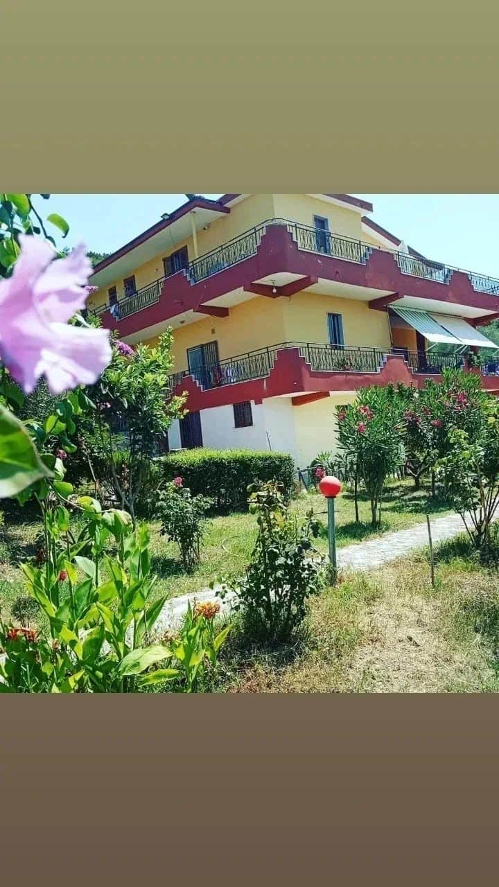 Dhoma Plazhi Natyra Në Spillë - Spille