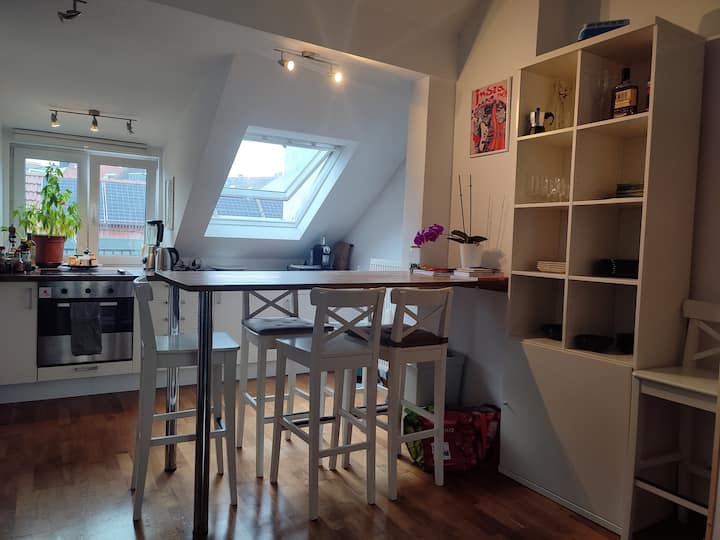Cozy Loft In The City Centre - Munich