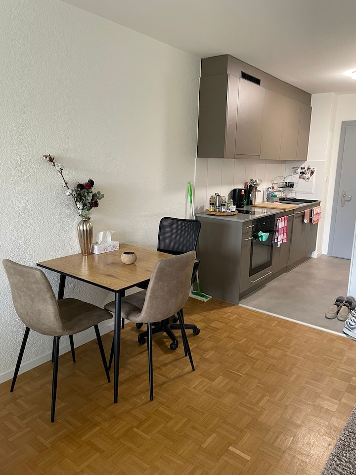 Apartment Mit Wifi Und Kücheneinrichtung/tv - Zurich