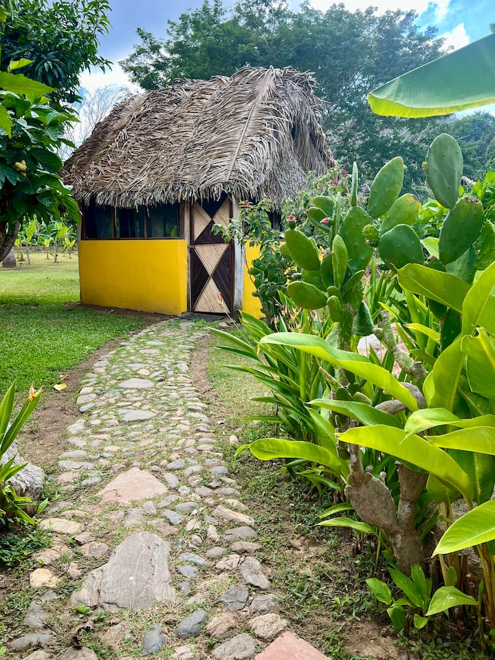 Jungle Oasis With Natural Pool! - Lo de Marcos