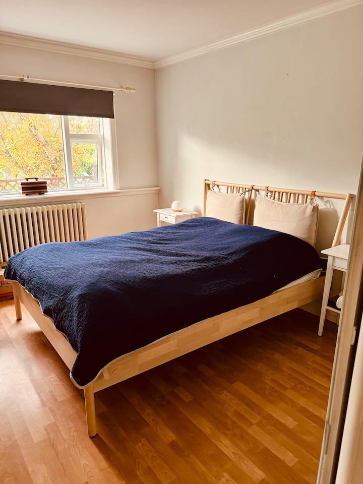 Home Away From Home - Reikiavik