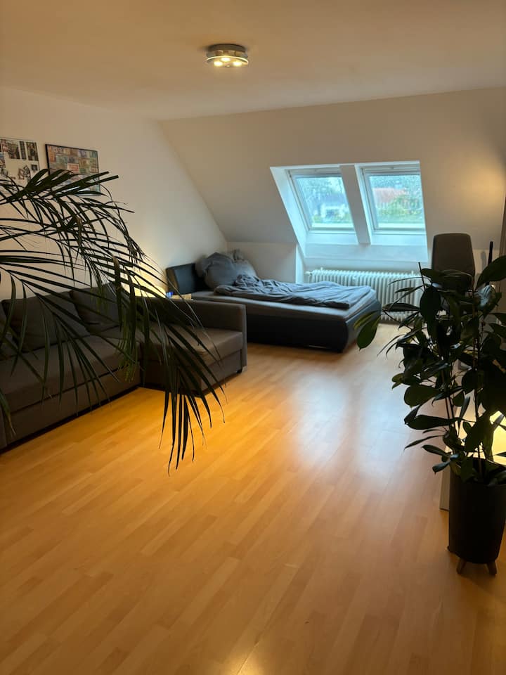 Vollmöblierte Ein-zimmerwohnung In Pasing - Olching