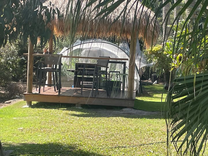 Absolute Beach Front - Rainbow Beach