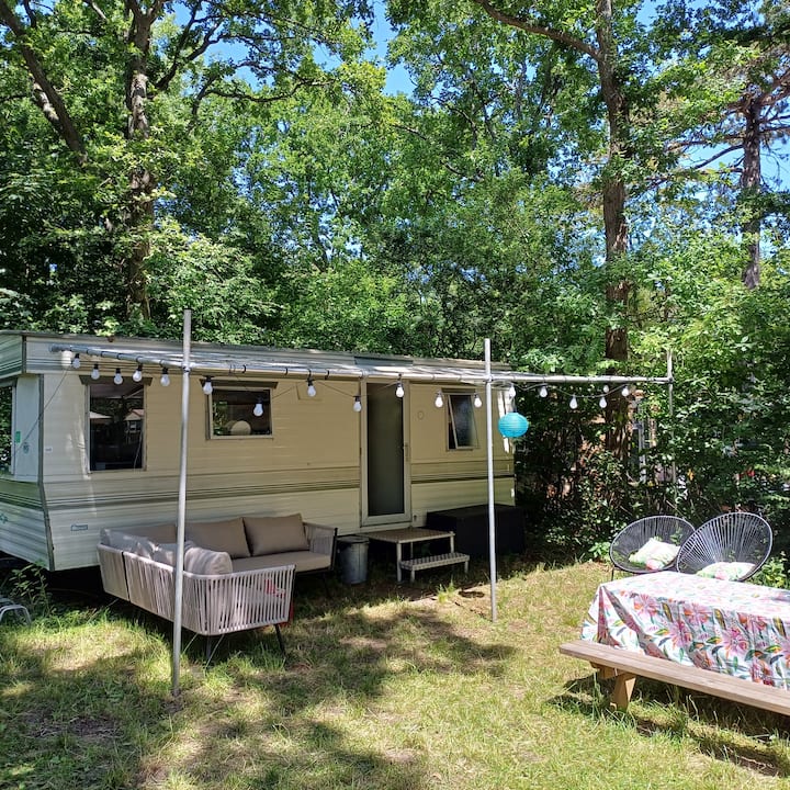 Camping Bakkum, Met Elektra! - Egmond aan Zee