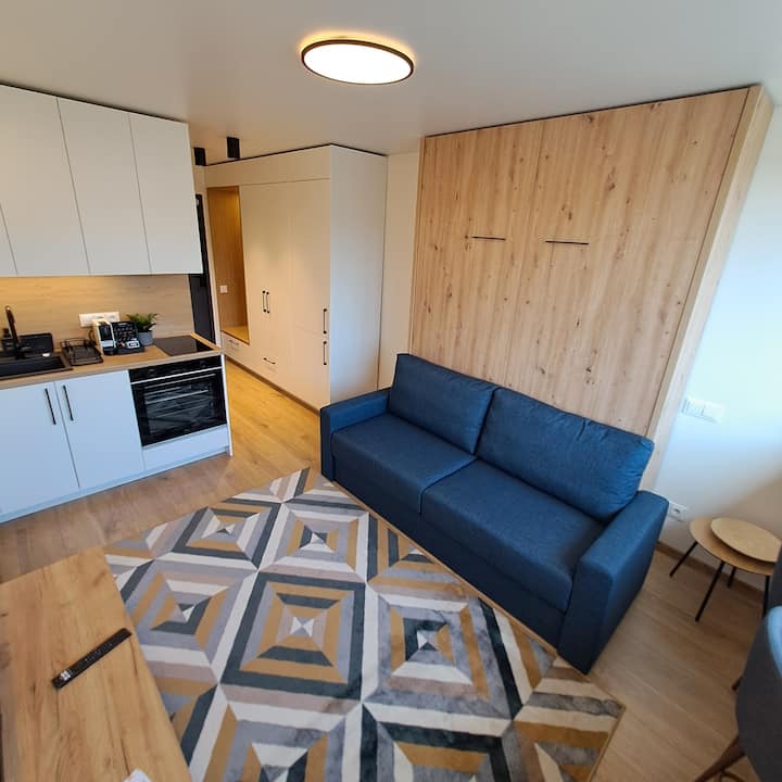 Algirdo31 Apartment In Naujamiestis - Vilnius