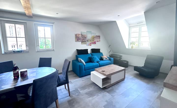 Joli Duplex Hypercentre Parking 
Confort 5 * - Alsace