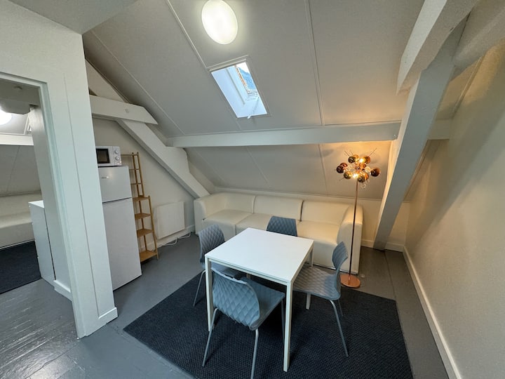 Bel Appartement En Attique à Genève Veyrier Salève - Archamps