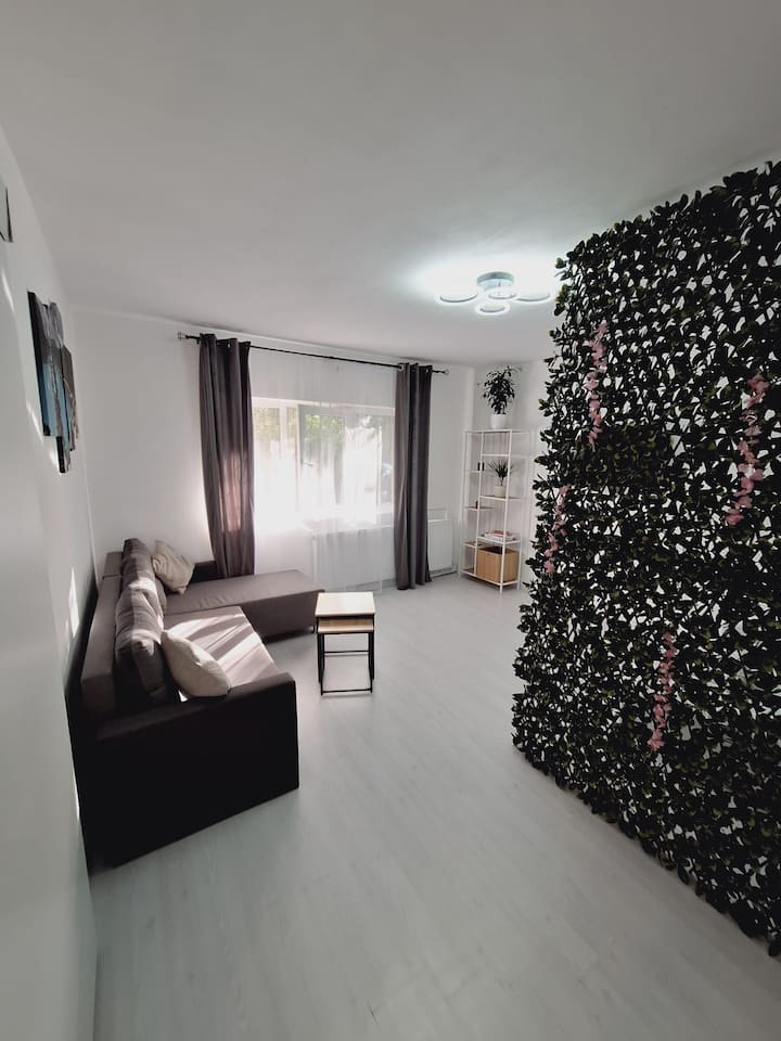 R&r Studio - Cluj-Napoca