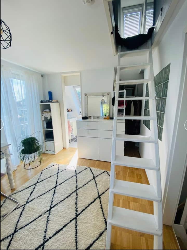 Spacious One Bedroom Suite In Architecture House - Munich