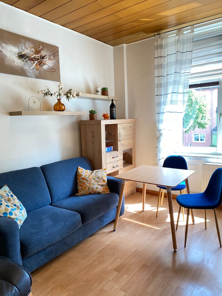 Sternbusch Wohnung: Gute Lage Zwischen Uni Und Hbf - Duisburg