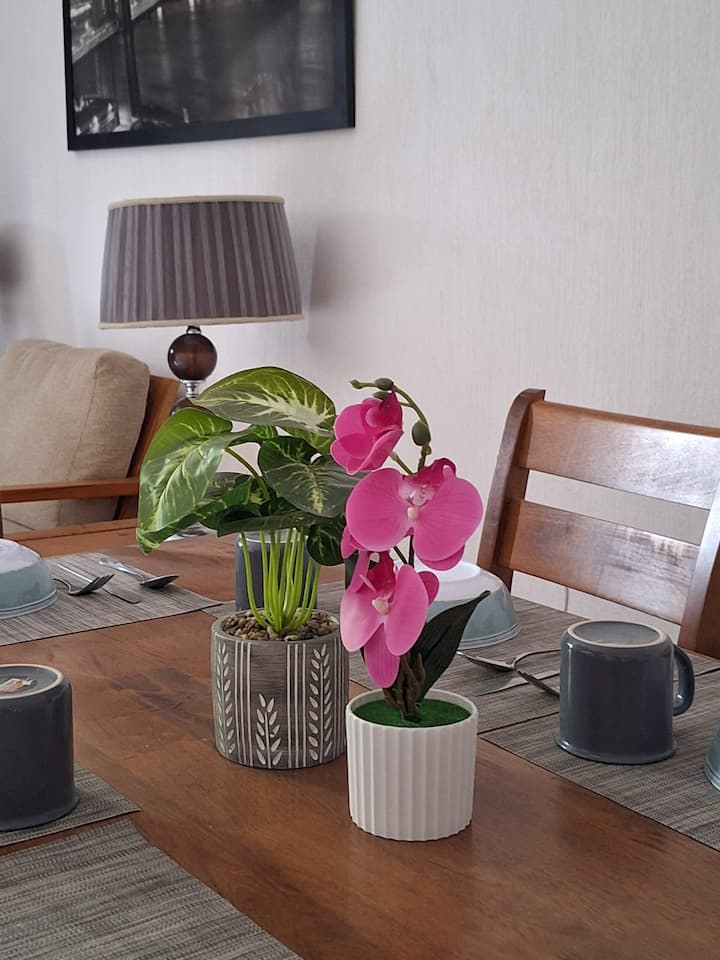 New York Classic 1 - Esquipulas