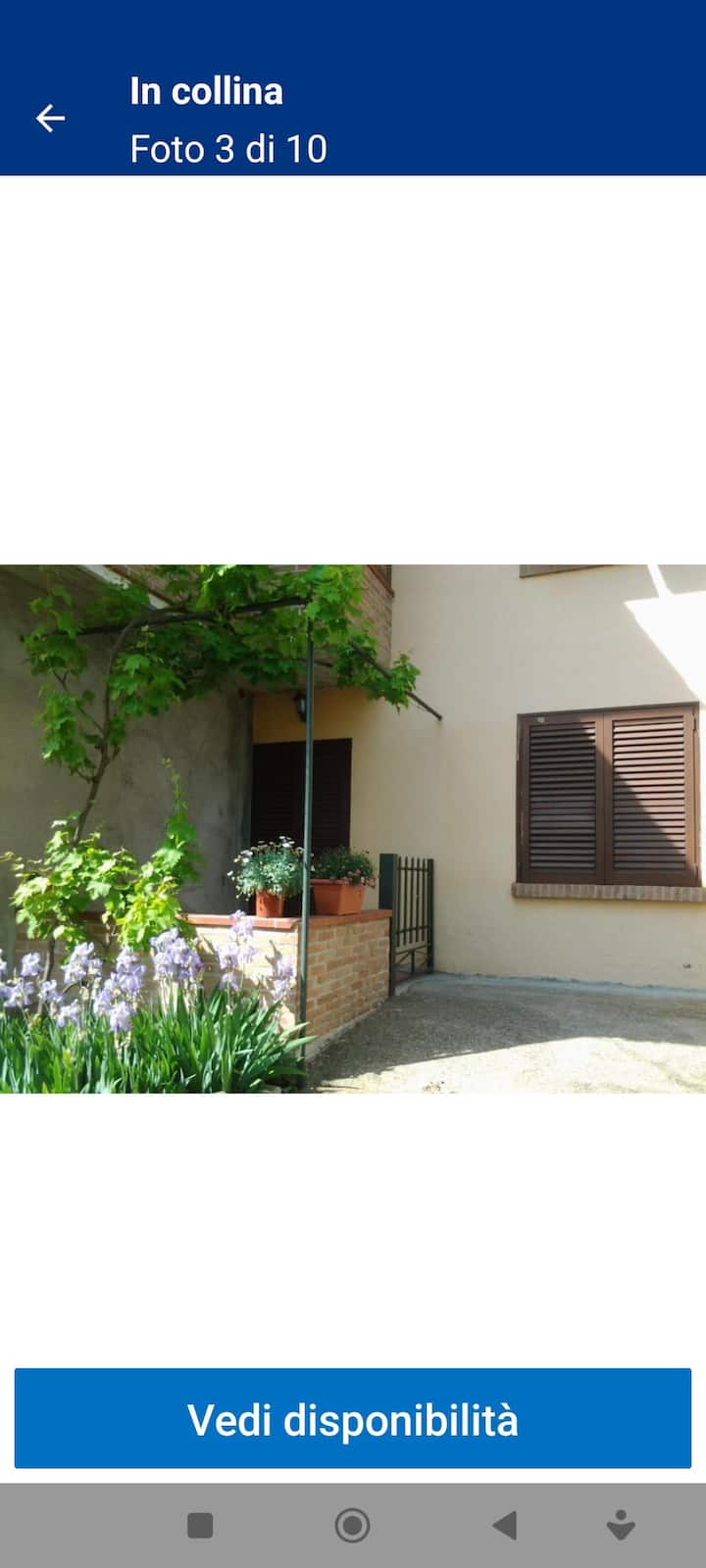 Appartamento In Collina - Bibbona