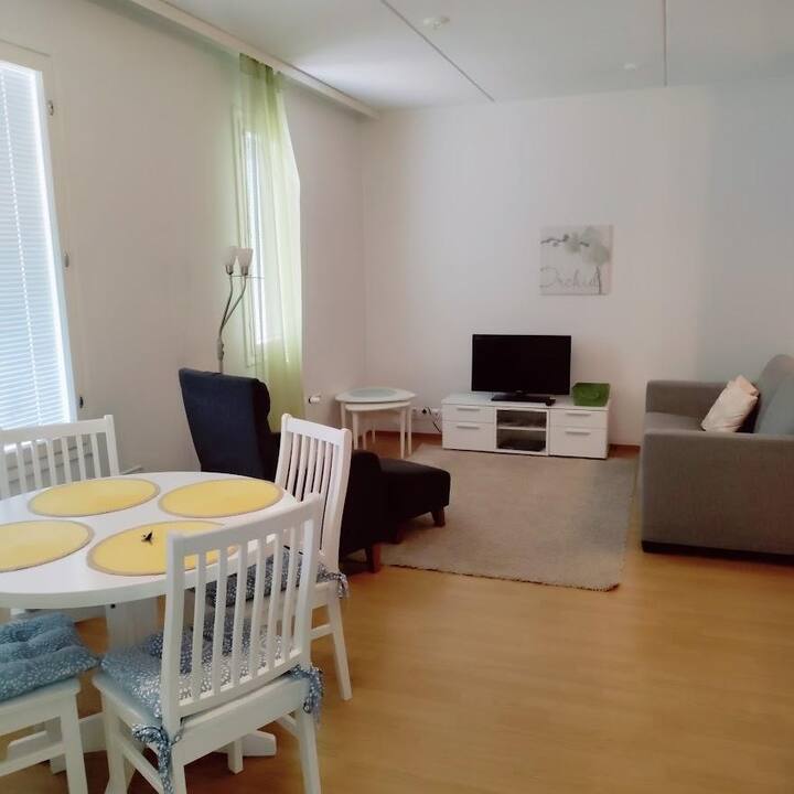 Comfortable Apartment 46
M - Oulu