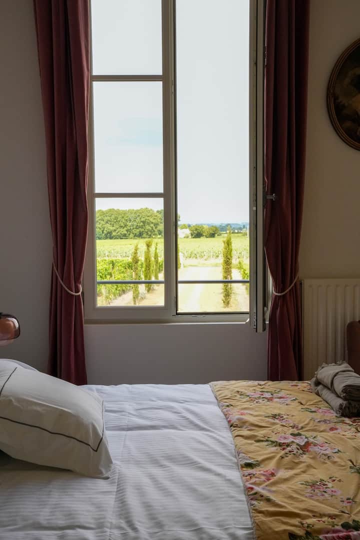 Château Vieux Clos Saint ÉMilion Rose - Saint-Émilion