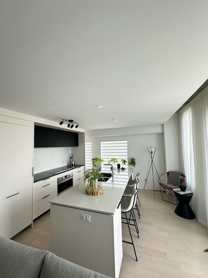 Luxueux Condo/vue Panoramique - Brossard