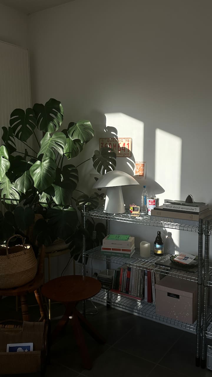 L'appartement Cosy Des Barthes - Hossegor