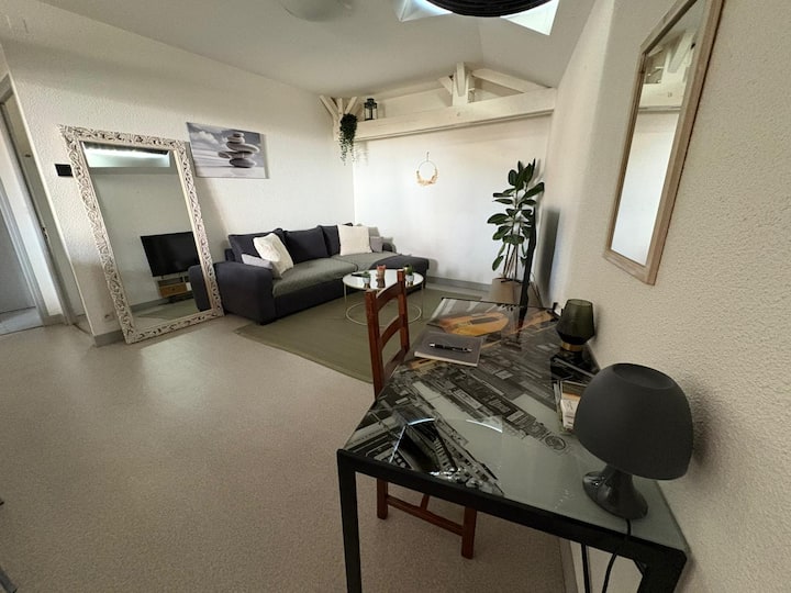 Appartement Climatisé - Périgueux