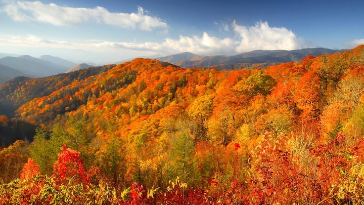 The Old Homeplace Studio: Boone - Boone, NC
