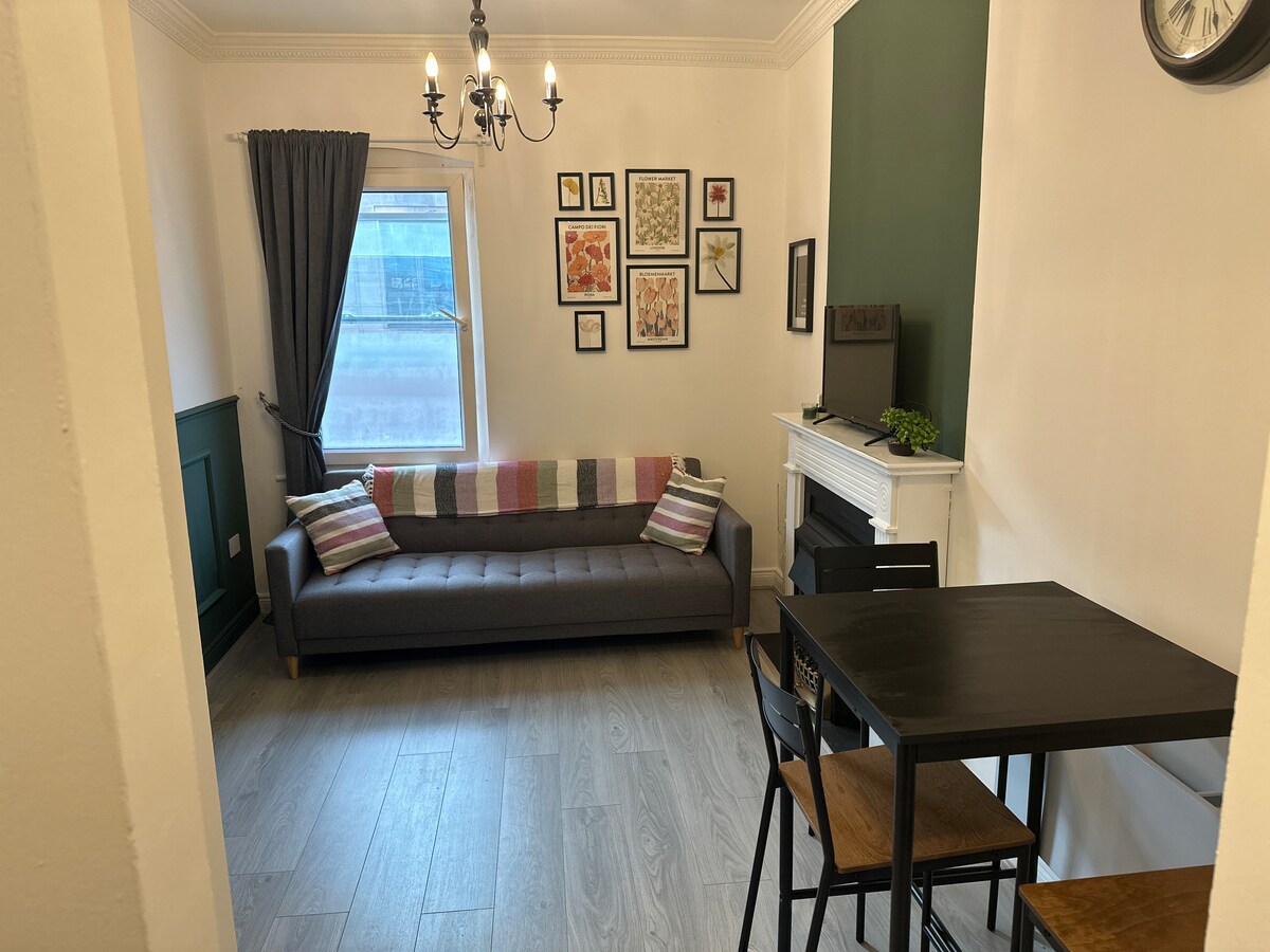 Dublin Apartment Vacation Rentals - County Dublin, Ireland | Airbnb