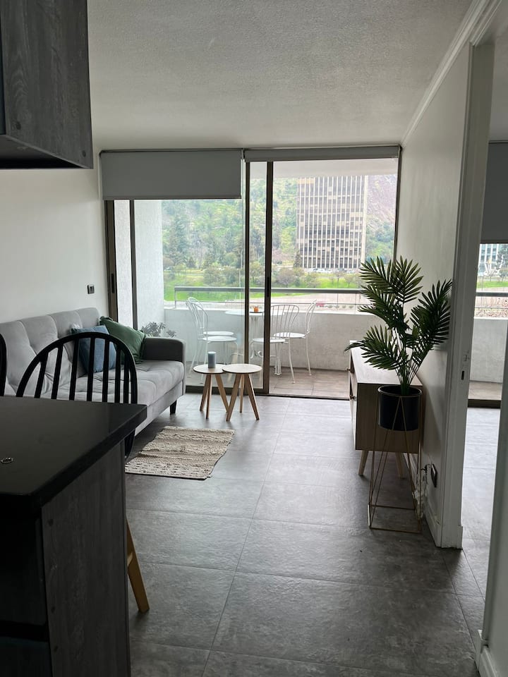 Hermoso Departamento - Providencia