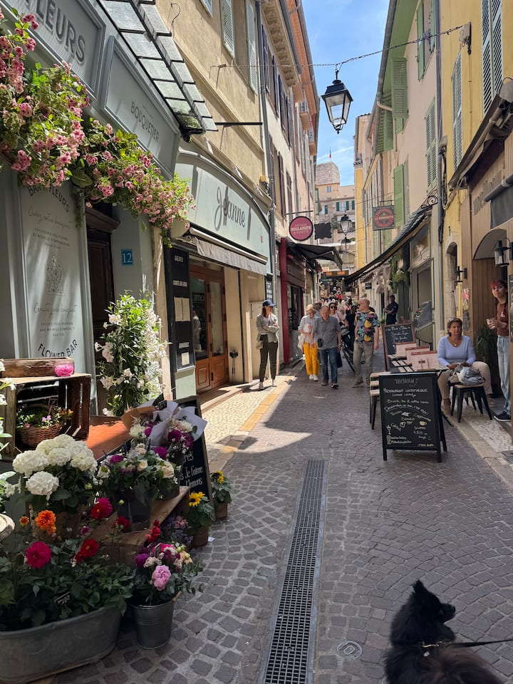 In The Heart Of Old Town Antibes! 50 M From Beach. - Antibes