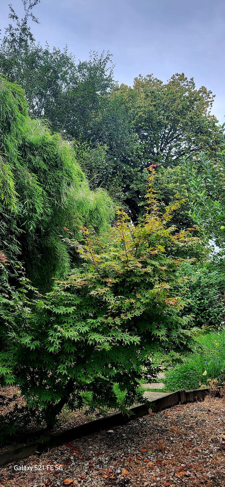 Chambre Solo Loisir/travail - Seignosse