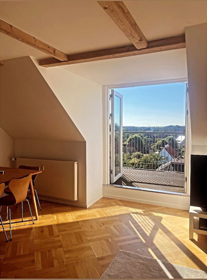 Charmerende Lejlighed Med 3 Altaner - Copenhagen