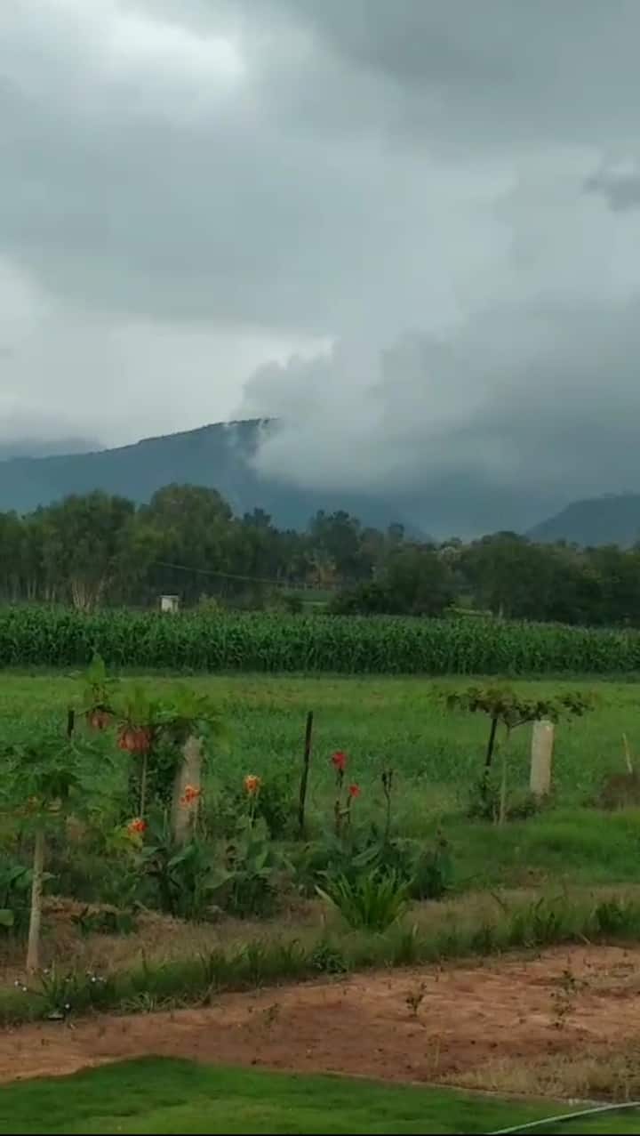 Charming, Rare Hill-view Luxury Farmstay - Nandi Hills