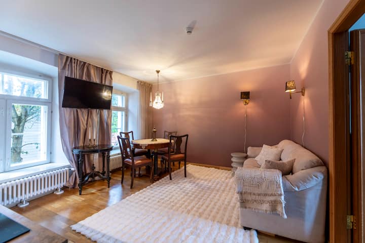Huge+oldtown+8br+bubblebath+fireplace+private Yard - Tallinn