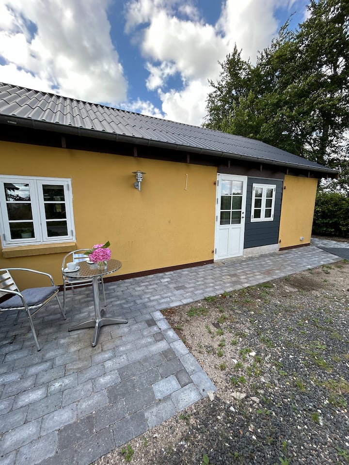 Lille Charmerende Lejlighed - Odense