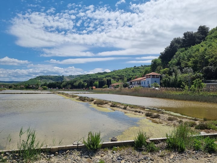 Salt Field Residence - Piran