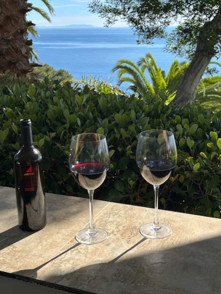 Fantastic Ocean Vista At Malibu 1 Bedroom Getaway - Malibú, CA