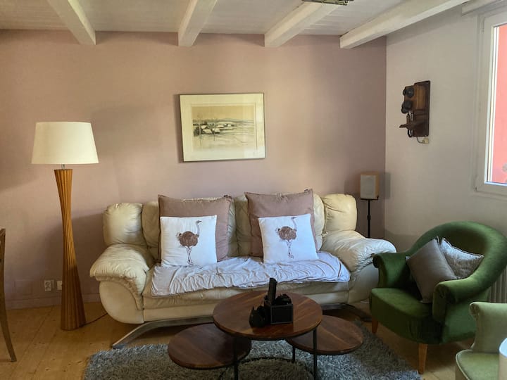 Strasbourg Résidentiel Chambre Au Calme Maxi 2 P - Strasbourg