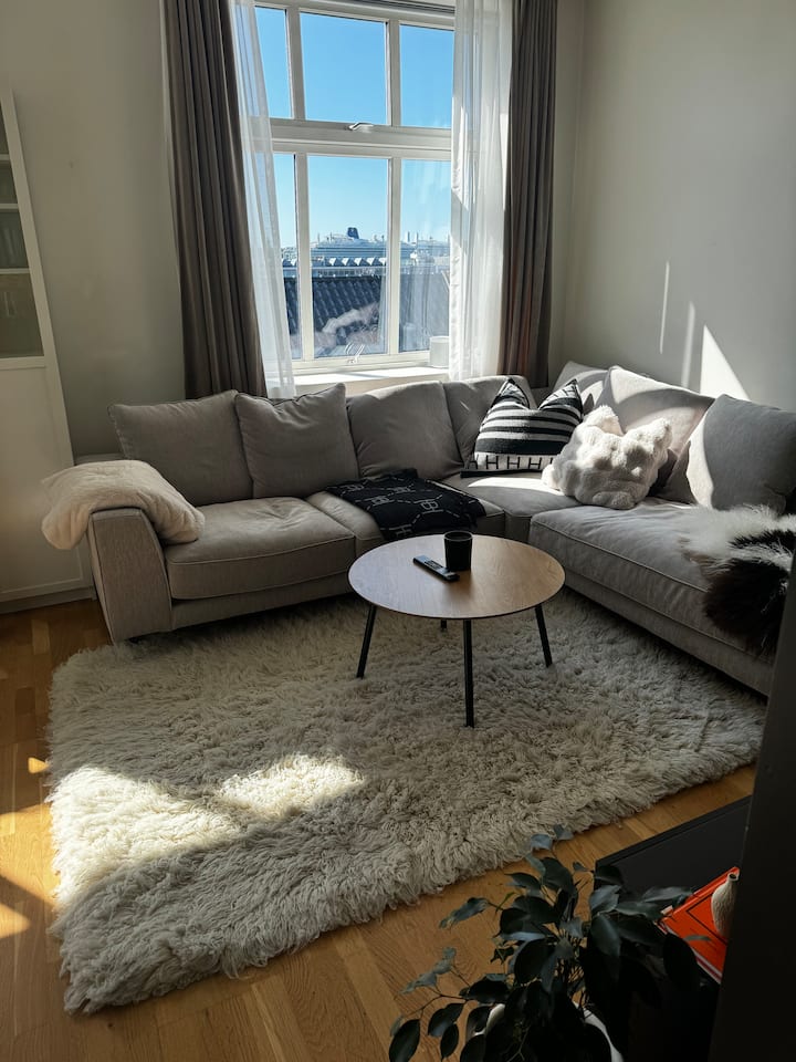 Studio Leilighet Sentrum Med Takterasse/sjøutsikt - Stavanger
