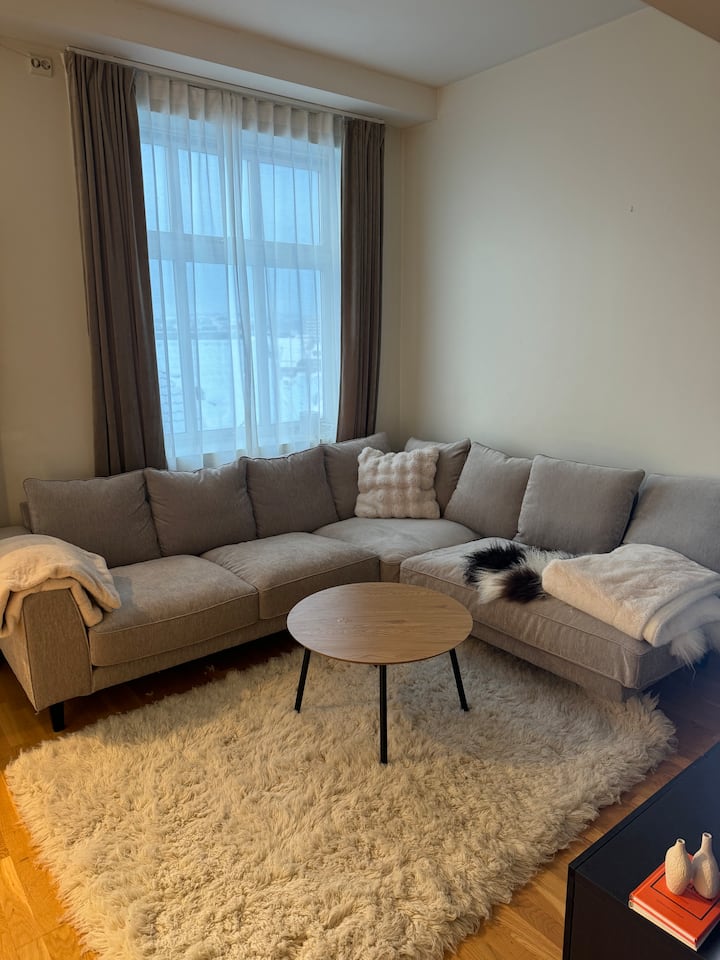 Studio Leilighet Midt I Sentrum - Stavanger